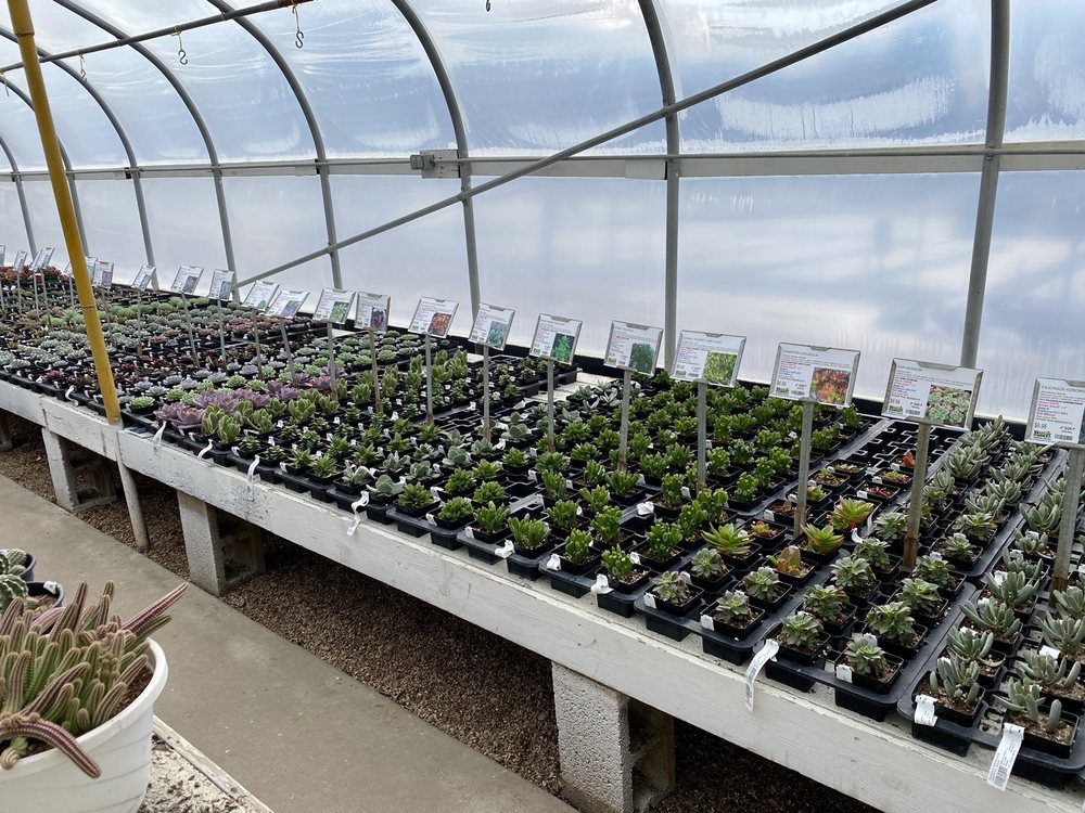 VALLEY NURSERY - Updated September 2024 - 47 Photos & 24 Reviews - 6484 ...