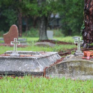 CARLIN PARK - 67 Photos & 27 Reviews - Parks - 400 Old A1A, Jupiter, FL ...