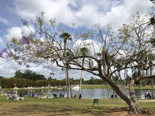 WARM MINERAL SPRINGS - Updated December 2025 - 285 Photos & 117 Reviews ...