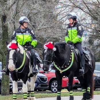 ALLTECH ARENA - Updated December 2025 - 26 Photos - 4089 Iron Works ...