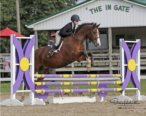 BLACKSTONE STABLES - 18 Photos - 4770 Green Rd, Howell, Michigan ...