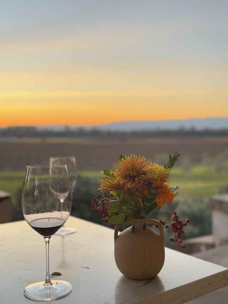 SCRIBE WINERY - Updated December 2025 - 887 Photos & 371 Reviews - 2100 ...