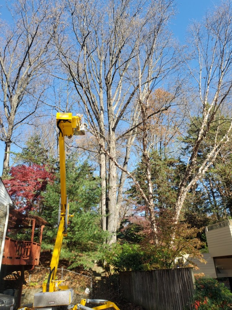 JR SISK TREE & LANDSCAPING EXPERT - Updated September 2024 - 13 Photos ...