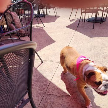 SOMERSET RIDGE VINEYARD & WINERY - Updated May 2025 - 122 Photos & 66 ...