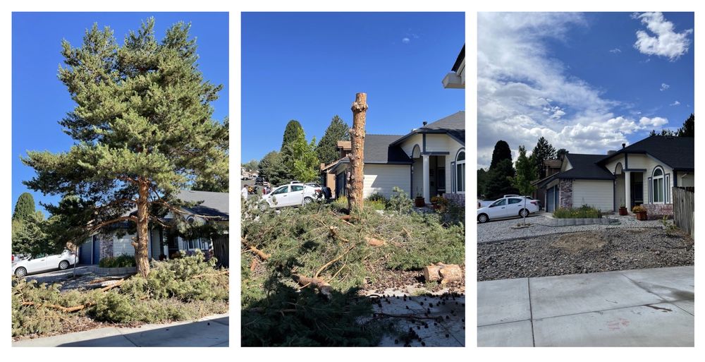 NEVADA ROOTS - Updated January 2026 - 14 Photos & 25 Reviews - Reno ...