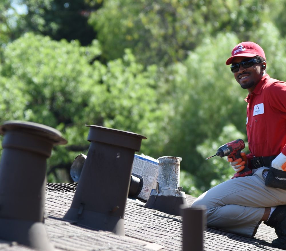 PINNACLE PEST CONTROL - Updated October 2024 - 19 Photos - 1313 W ...