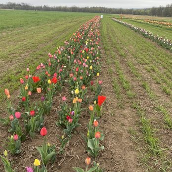 KELDER’S FARM - TEMP. CLOSED - Updated December 2025 - 199 Photos & 70 ...