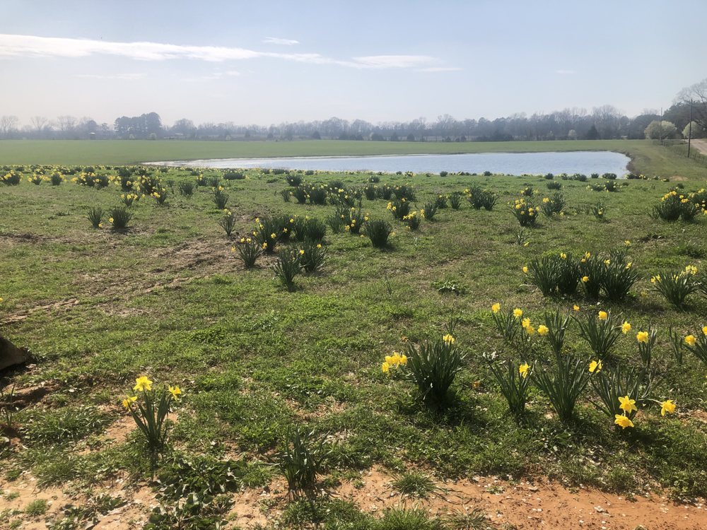 SLGOHACHIA ECLIPSE CAMPING - Updated April 2024 - Solgohachia, Arkansas ...