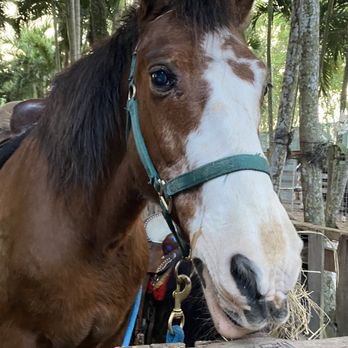 TINEZ FARMS - Updated March 2025 - 336 Photos & 59 Reviews - 16405 SW ...