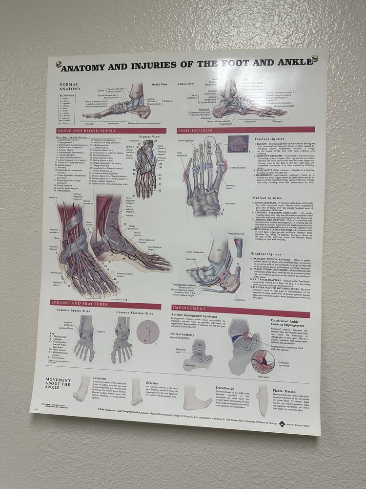 PHILIP RADOVIC D.P.M - Updated December 2025 - 29 Photos & 82 Reviews ...