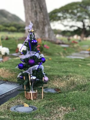 DIAMOND HEAD MEMORIAL PARK - 153 Photos & 26 Reviews - 529 18th Ave ...