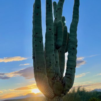 EAGLE VIEW RV RESORT - 141 Photos & 39 Reviews - 9605 N Fort McDowell ...