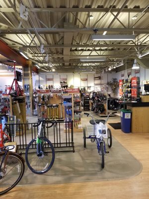 BICYCLE GARAGE INDY & BGI FITNESS - 30 Photos & 62 Reviews - Bikes ...