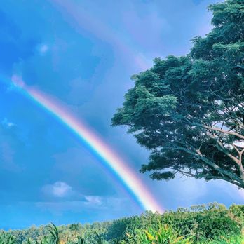 KALOPA STATE PARK - Updated December 2025 - 29 Photos & 12 Reviews - 44 ...