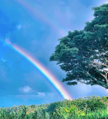 KALOPA STATE PARK - Updated December 2024 - 29 Photos & 12 Reviews - 44 ...