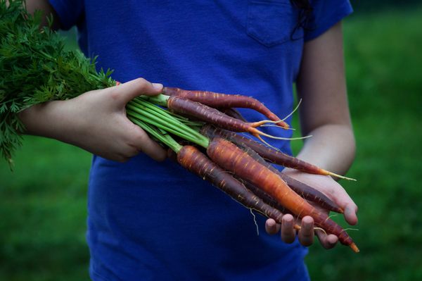 PENNYPACK FARM & EDUCATION CENTER - Updated April 2026 - 19 Photos ...