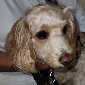 BAPTIST HEALTH BOCA RATON REGIONAL HOSPITAL - Updated December 2025 ...