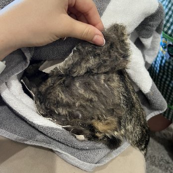 LOMA LINDA ANIMAL HOSPITAL - Updated August 2024 - 224 Photos & 674 ...