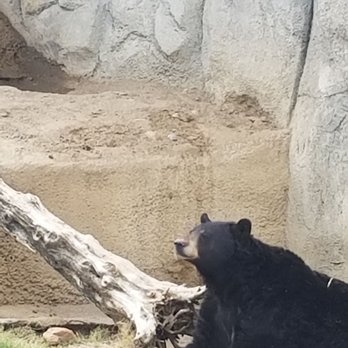 CALM ZOO - Updated September 2024 - 464 Photos & 160 Reviews - 10500 ...