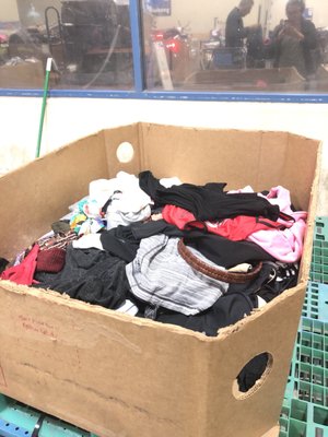 GOODWILL WHOLESALE OUTLET - 41 Reviews - 1401 N Rice Ave, Oxnard, CA - Yelp