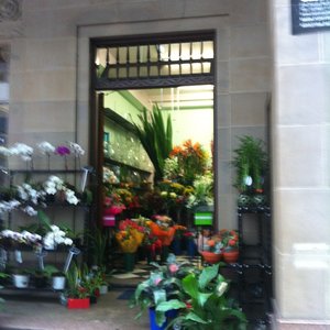 GARDENWORLD NURSERY - Updated April 2025 - Springvale Rd, Keysborough ...