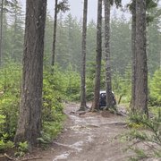 TAHUYA STATE FOREST 4X4 PARK - 78 Photos & 12 Reviews - Belfair ...