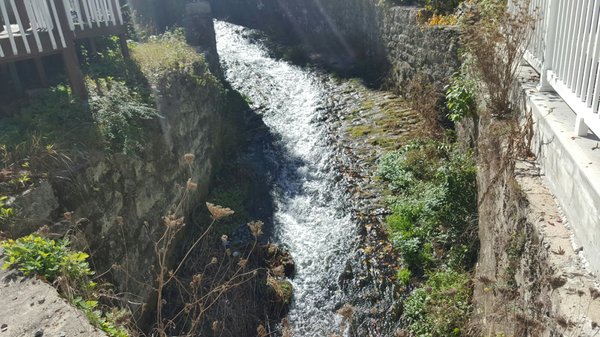 JIM THORPE CAMPING RESORT - Updated June 2024 - 35 Photos & 28 Reviews ...