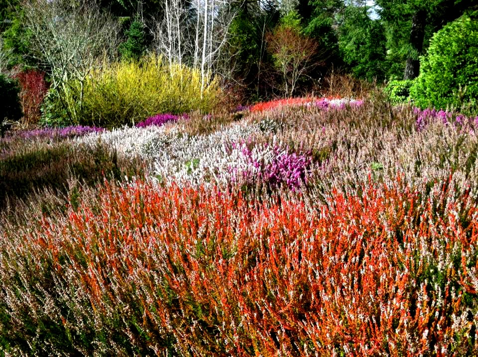 PACIFIC LANDSCAPING - Updated January 2026 - 11 Photos - Seattle ...