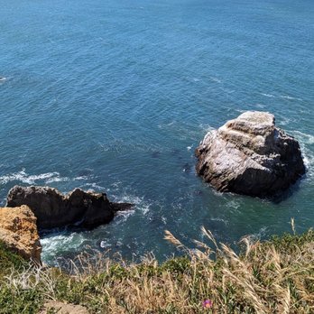 CHIMNEY ROCK - POINT REYES NATIONAL SEASHORE - Updated June 2025 - 233 ...