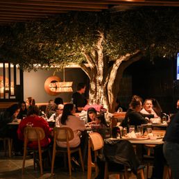 MEDDYS - Updated January 2026 - 325 Photos & 170 Real Reviews - 9404 N ...