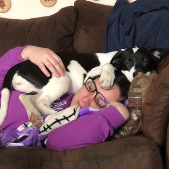 LARIMER HUMANE SOCIETY - Updated May 2025 - 28 Photos & 63 Reviews ...