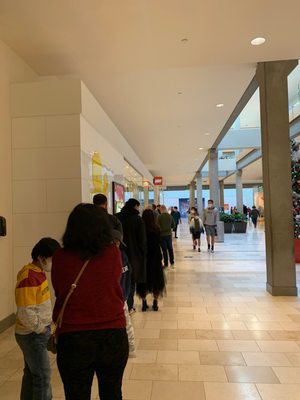 LEGO STORE - Updated November 2024 - 64 Photos & 52 Reviews - 119 ...