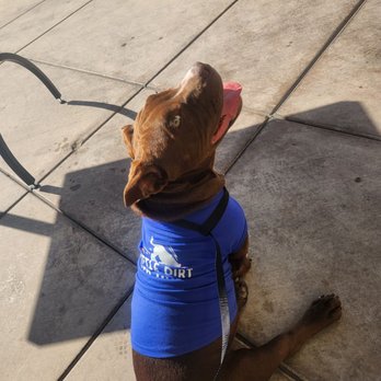 DOWNEY ANIMAL CARE CENTER - Updated October 2024 - 299 Photos & 288 ...