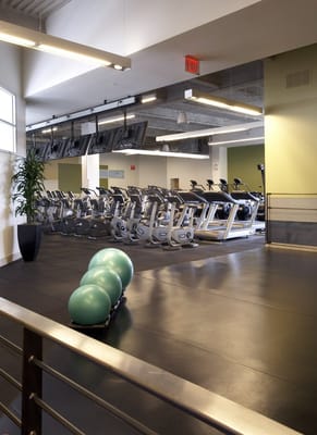 EQUINOX MAMARONECK - Updated January 2026 - 26 Photos & 32 Verified ...