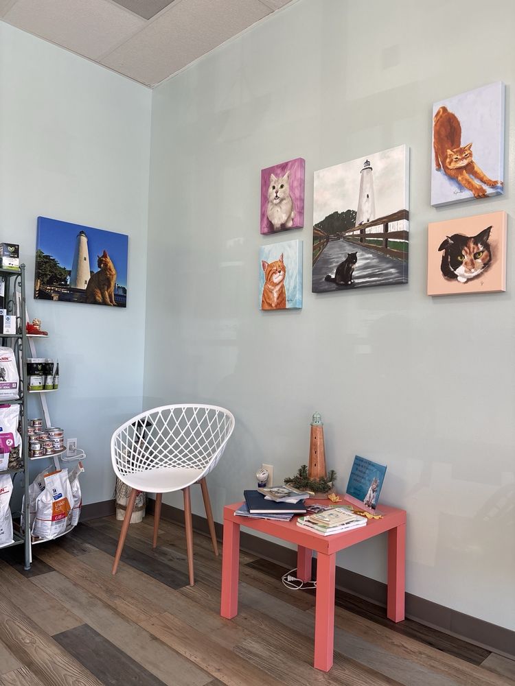 LIGHTHOUSE VETERINARY CARE FOR CATS - Updated September 2025 - 12 ...