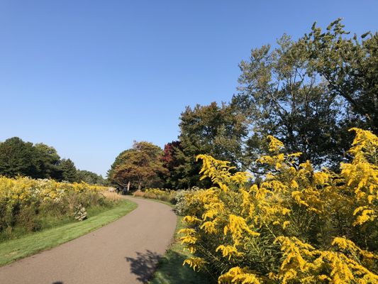 ACACIA RESERVATION - Updated September 2024 - 37 Photos & 18 Reviews ...