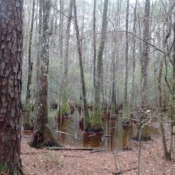 LEON SINKS GEOLOGICAL AREA - Updated July 2025 - 52 Photos & 15 Reviews ...