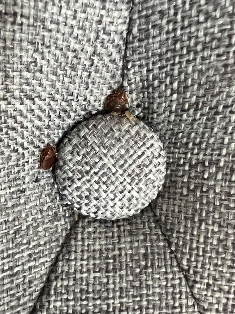 BUCKEYE BUG SERVICES - Updated October 2025 - 45 Photos & 11 Reviews ...