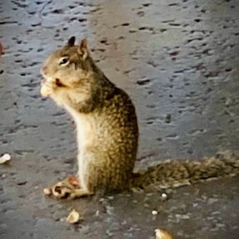 BROOKS BAR - Updated April 2025 - 27 Photos & 47 Reviews - 6720 Van ...