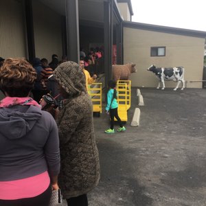 BURLINGTON BEEF - 10 Photos & 10 Reviews - Meat Shops - 30 Burlington Rd, Monroeville, NJ ...