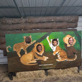 CATTY SHACK RANCH WILDLIFE SANCTUARY - Updated January 2025 - 680 ...