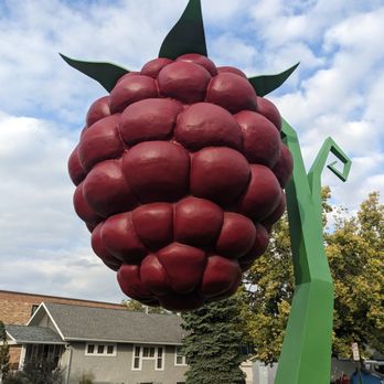 WORLD’S LARGEST RASPBERRY - Updated October 2025 - 21 8th Ave N ...