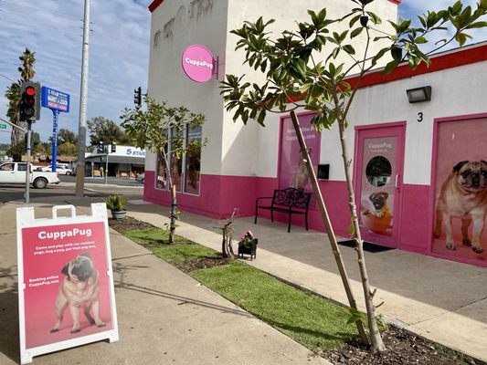 CUPPA PUG - Updated June 2025 - 166 Photos & 62 Reviews - 607 W 9th Ave ...