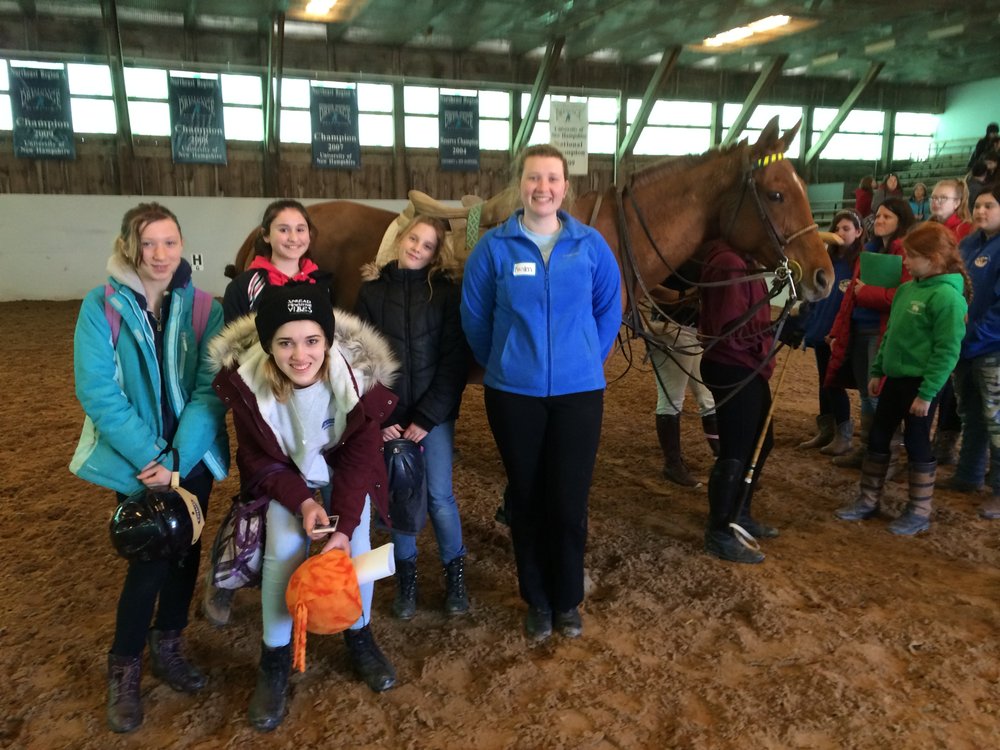 TRINITY STABLE - Updated September 2025 - 253 Intervale Rd, Canterbury ...