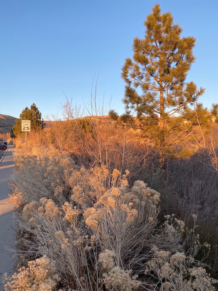 MEMORY GROVE PARK - 157 Photos & 67 Reviews - Parks - 300 N Canyon Rd ...