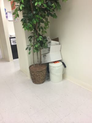 LABCORP - Updated July 2025 - 28 Photos & 159 Reviews - 2701 W Alameda ...