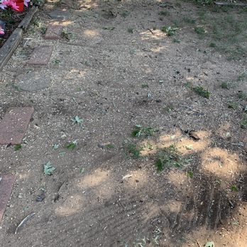 GRASS NINJA LAWN SERVICE - Updated August 2025 - 17 Photos - 3945 N ...