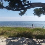 SHELL POINT BEACH - 47 Photos & 14 Reviews - 117 Beaty Taff Dr ...