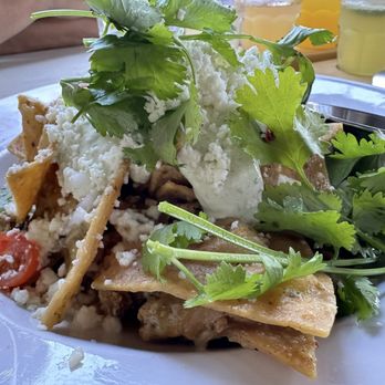 GREAT MAPLE - HILLCREST - Updated August 2024 - 8662 Photos & 4789 ...