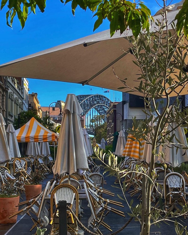 STARBUCKS - Updated January 2026 - 12 Photos - 131-135 George St, The ...